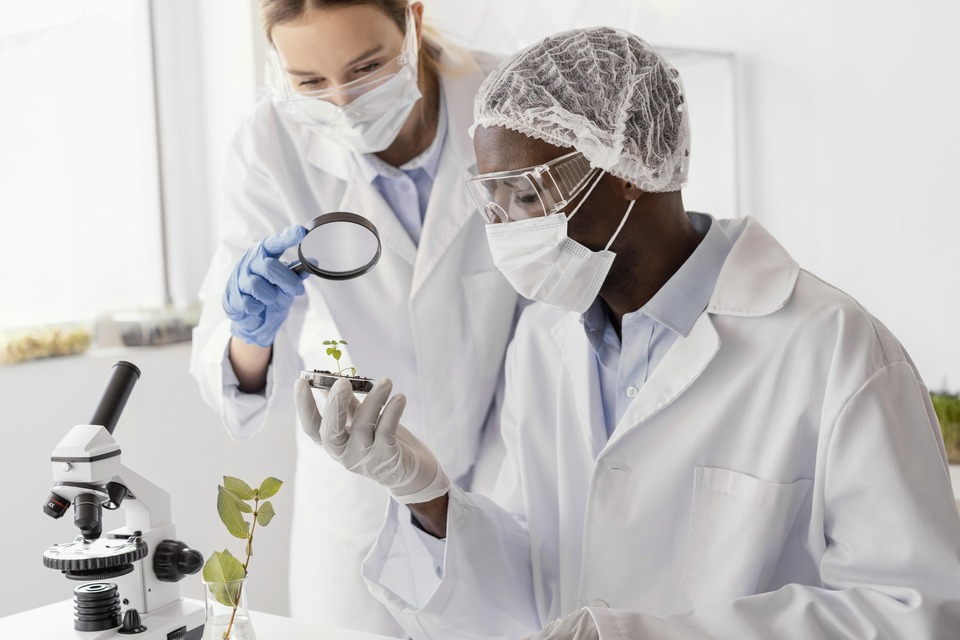 BSc Biotechnology Scope: Opportunities Await